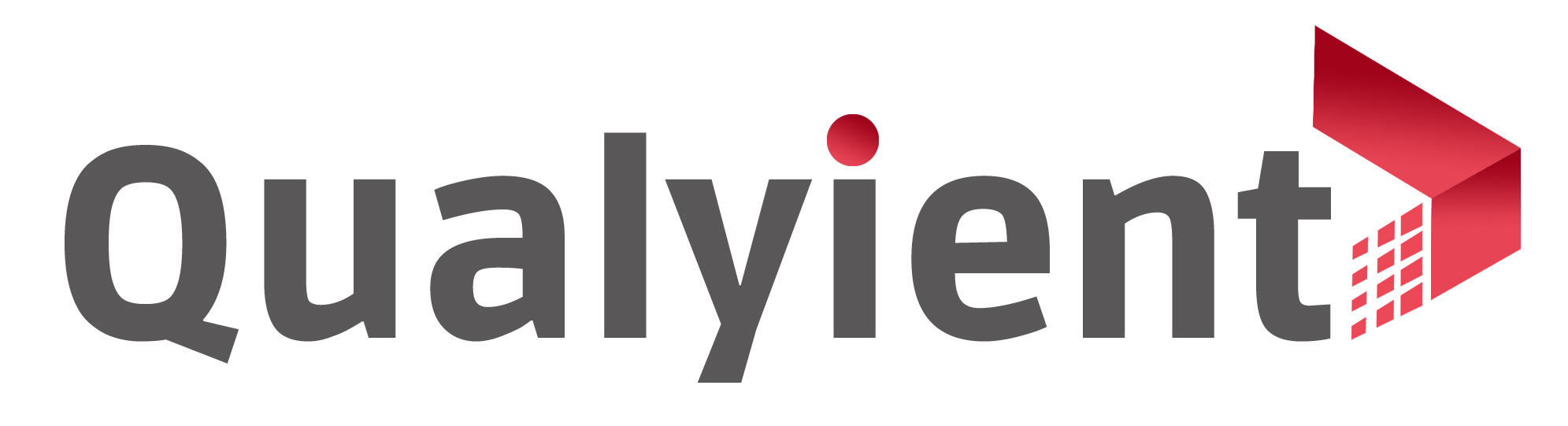 Qualyient Consulting Private Limited